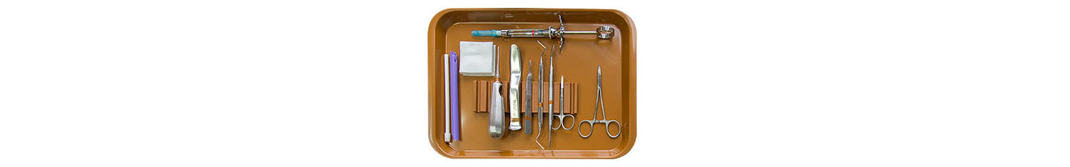 Veterinary Dental Instrument Trays & Lids
