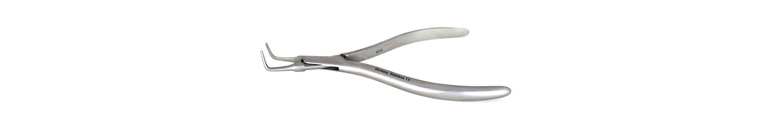 Veterinary Dental Root Forceps