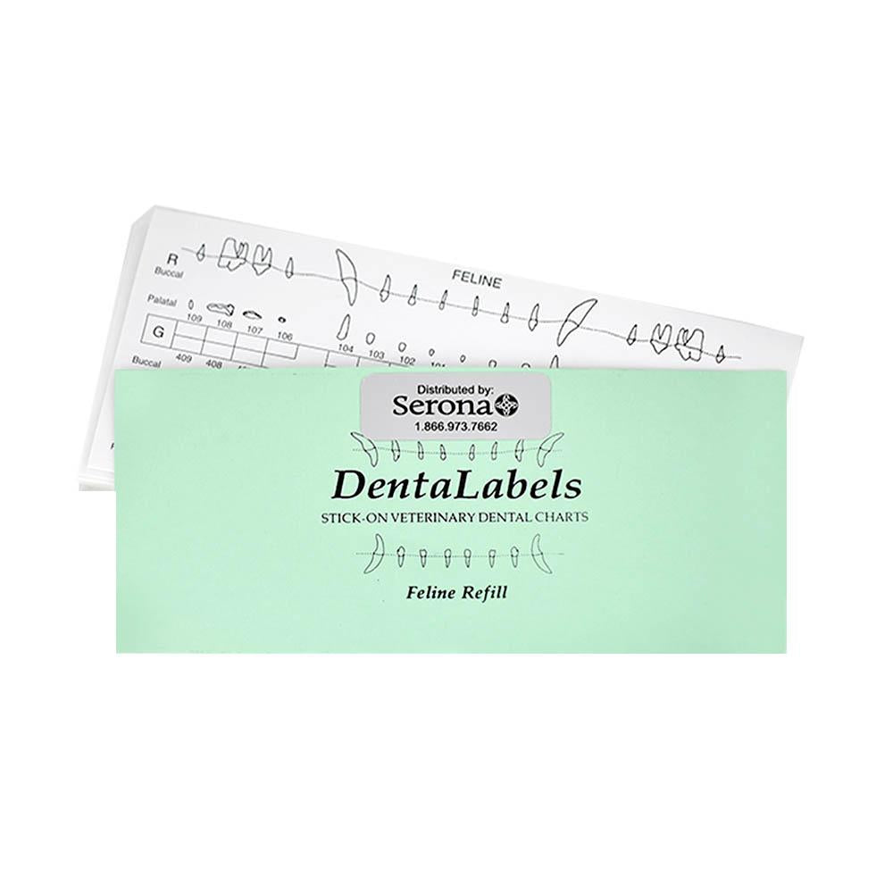 Feline Dental Chart