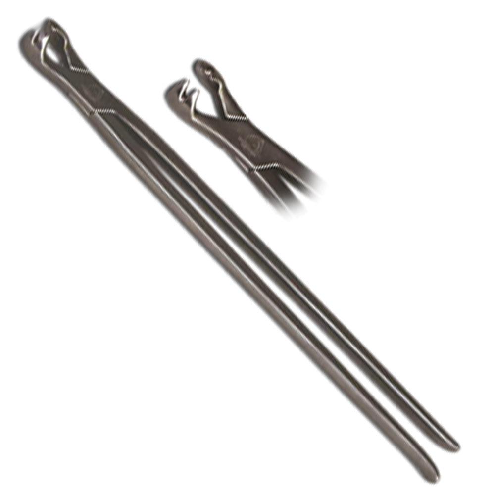 Equine 4-Prong Extraction Forceps, 19"
